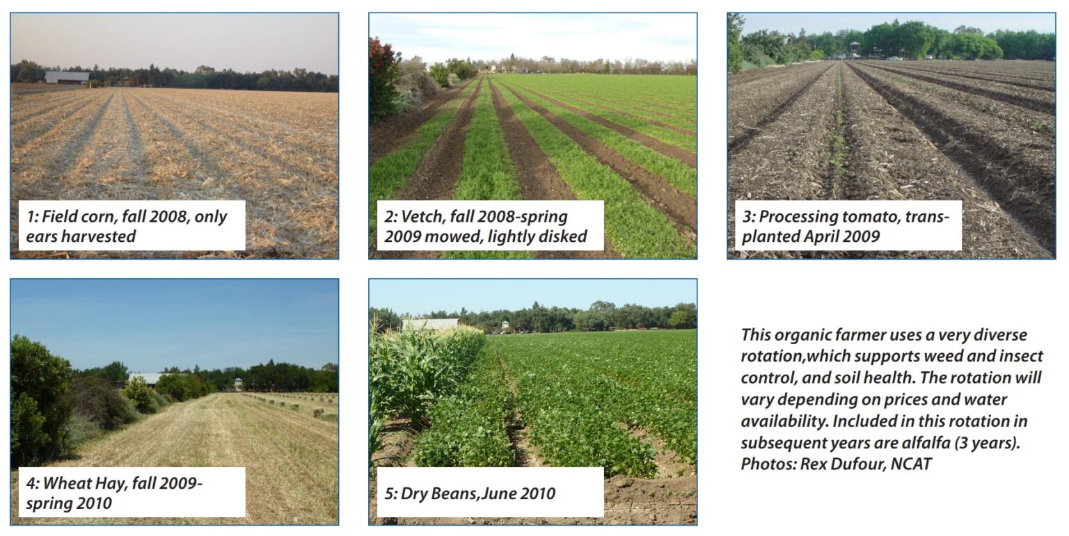 What is Crop Rotation? | Mandako